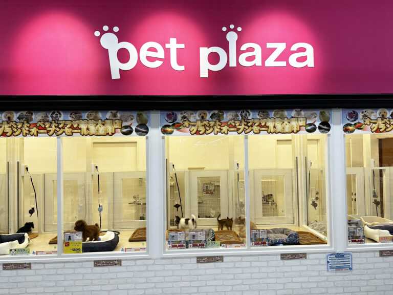 ペットプラザ越谷大里店 – OneDo Group