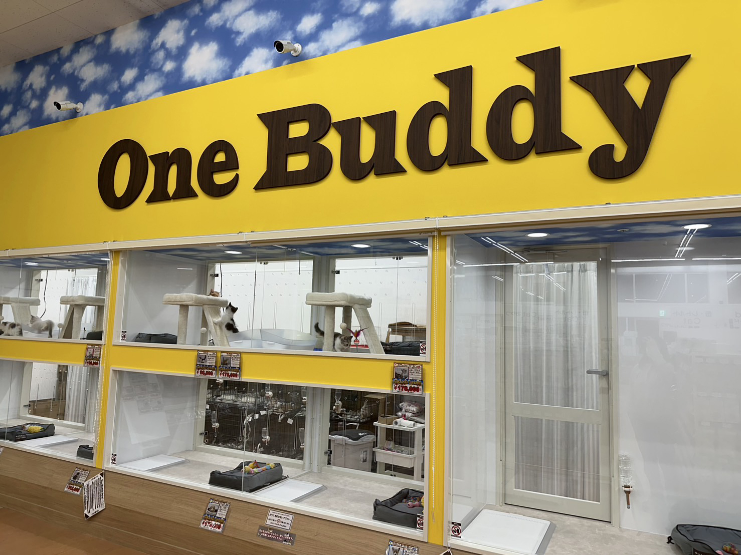 OneBuddy南越谷店 – OneDo Group